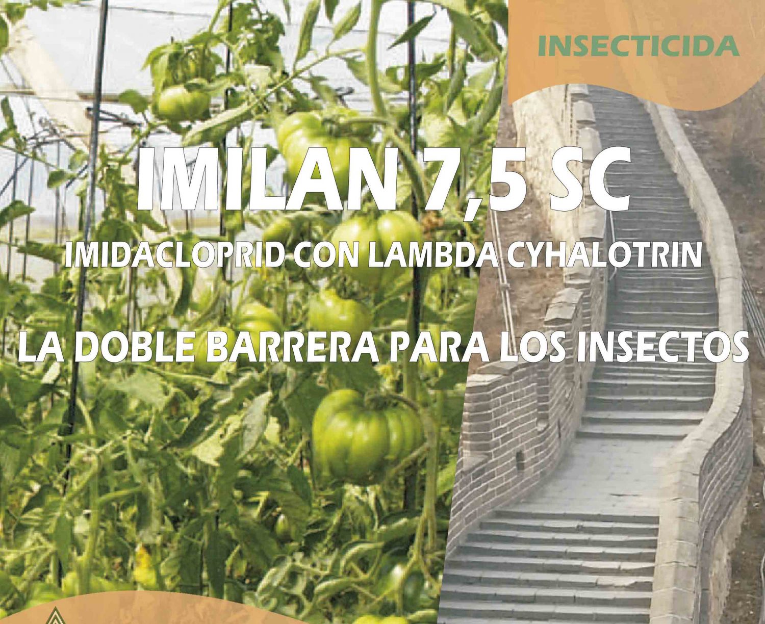 INSECTICIDA IMILAN 7,5 SC(Imidacloprid + Lambda Cyhalotrina) – Guadagro