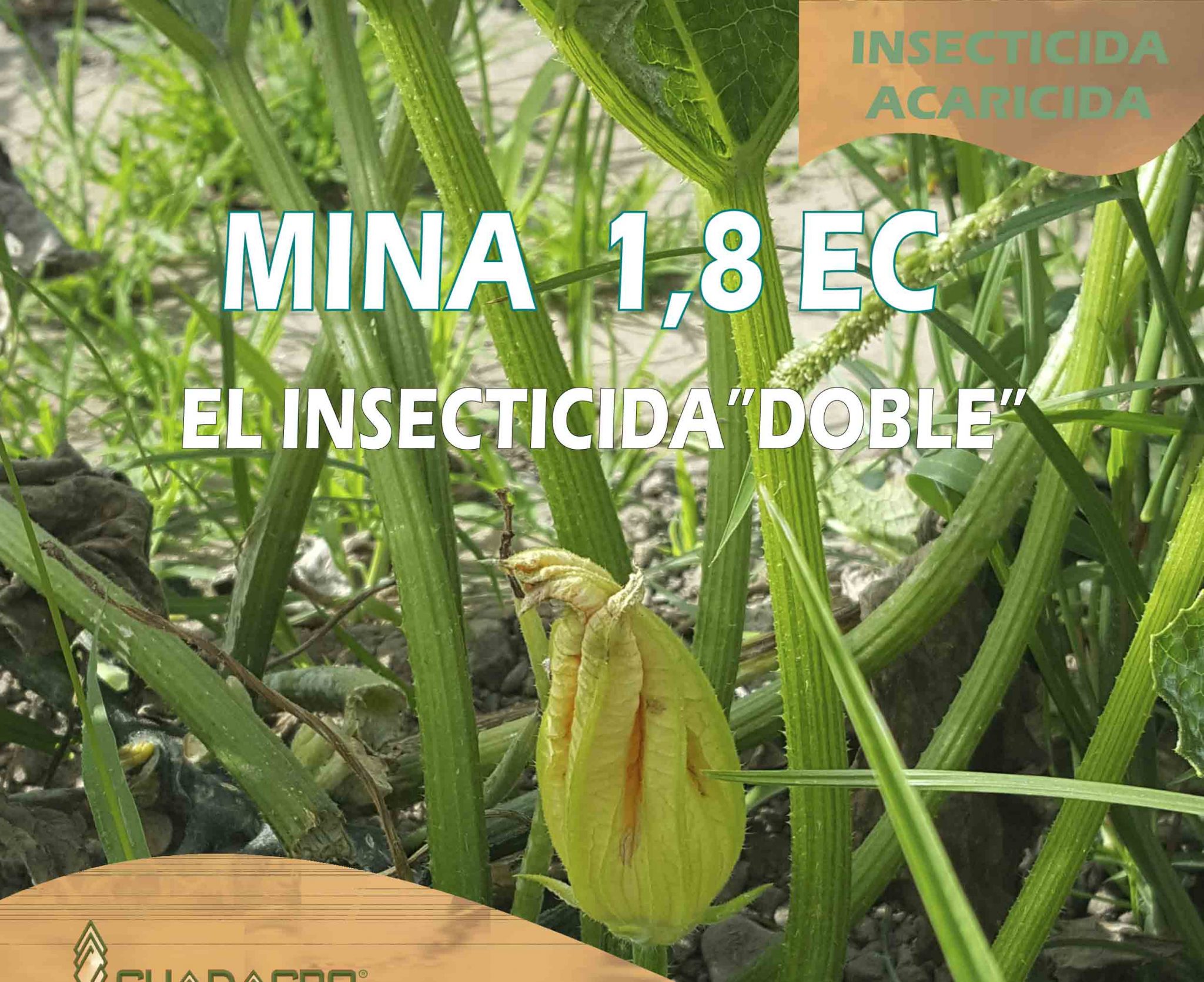 INSECTICIDA MINA 1,8 EC(ABAMECTINA) – Guadagro