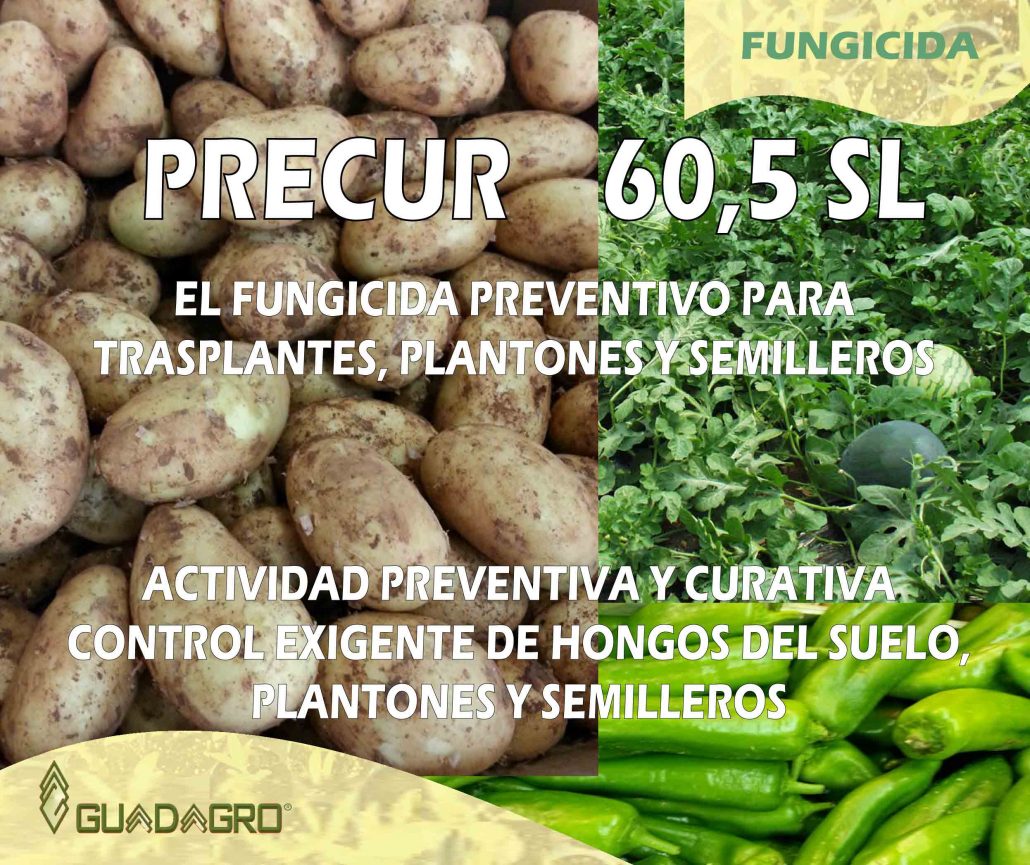 FUNGICIDA PRECUR 60,5 SL(PROPAMOCARB) – Guadagro