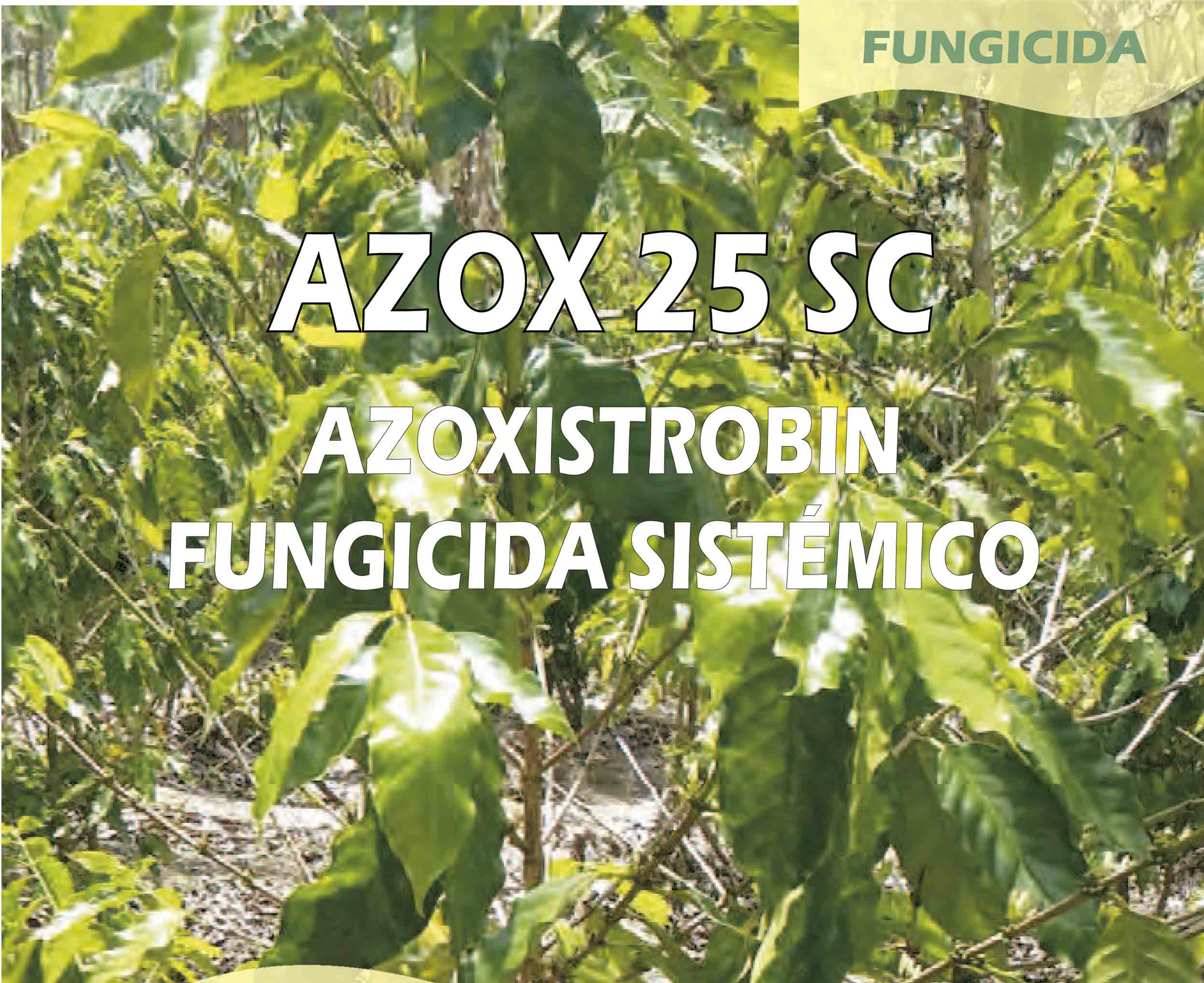 FUNGICIDA AZOX 25 SC (AZOXISTROBIN) Vendedor: Agrolatina – Guadagro